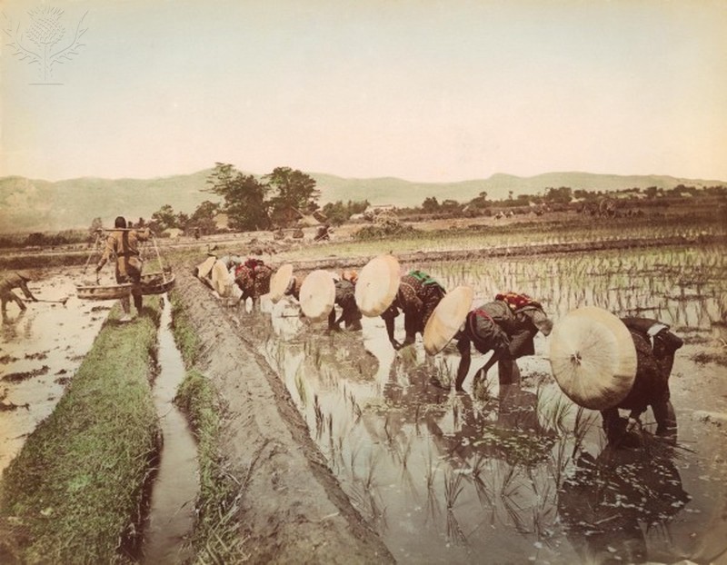 Tips for Self-Cultivation | Sinister Bend